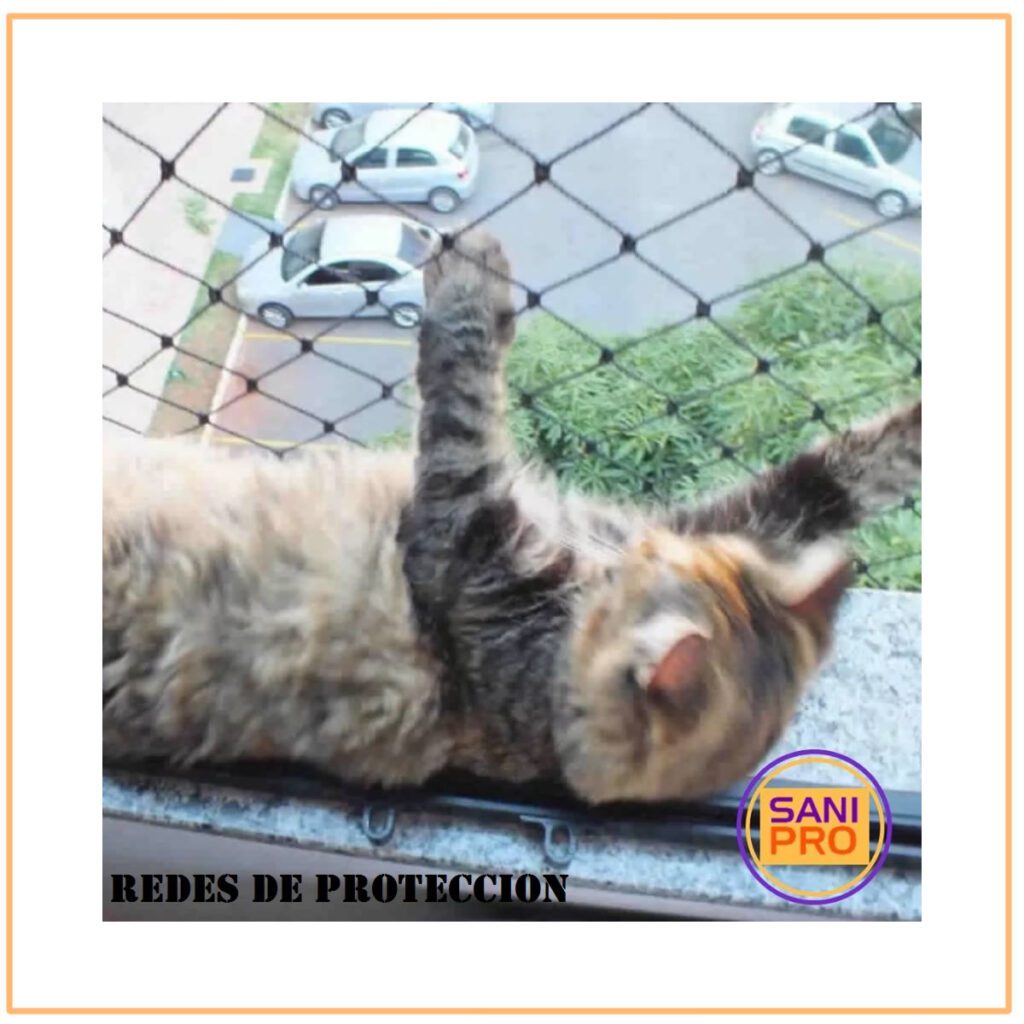 Redes archivos - Sanipro